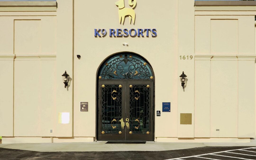 Beautiful Steel Building Construction — K9 Resorts - Houston Steel ...